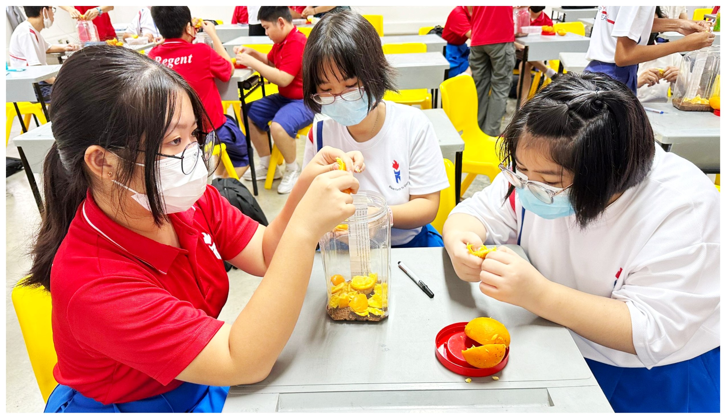 Applied Learning Programme (ALP)