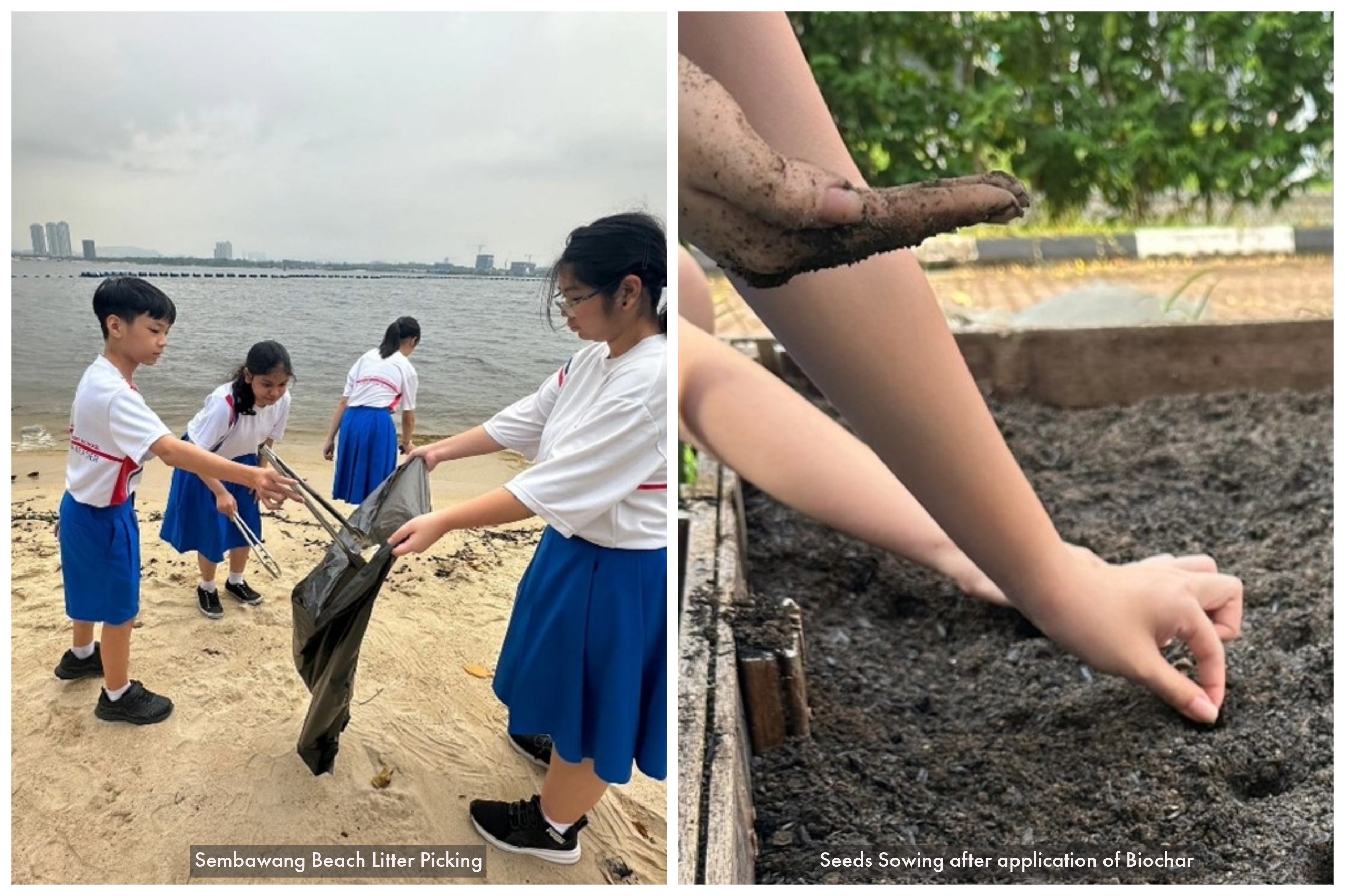 Environmental Science