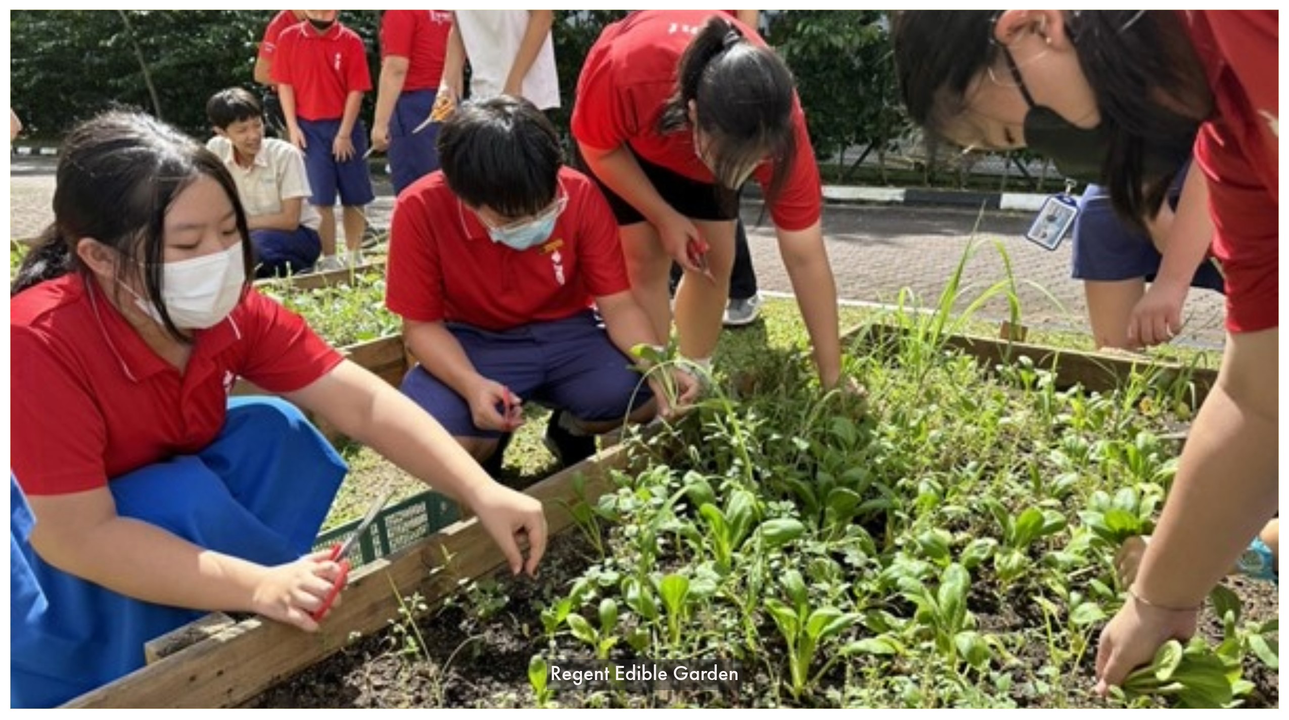 Environmental Science