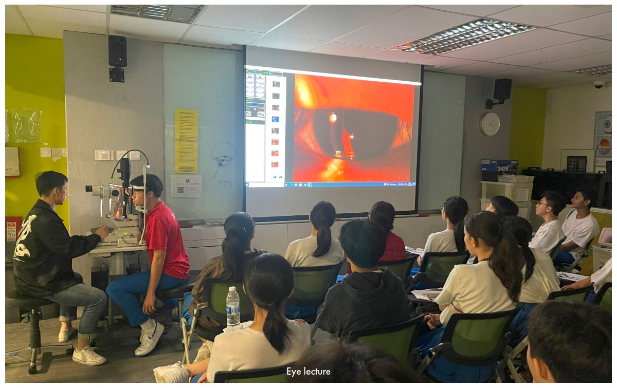 Level Wide Programme